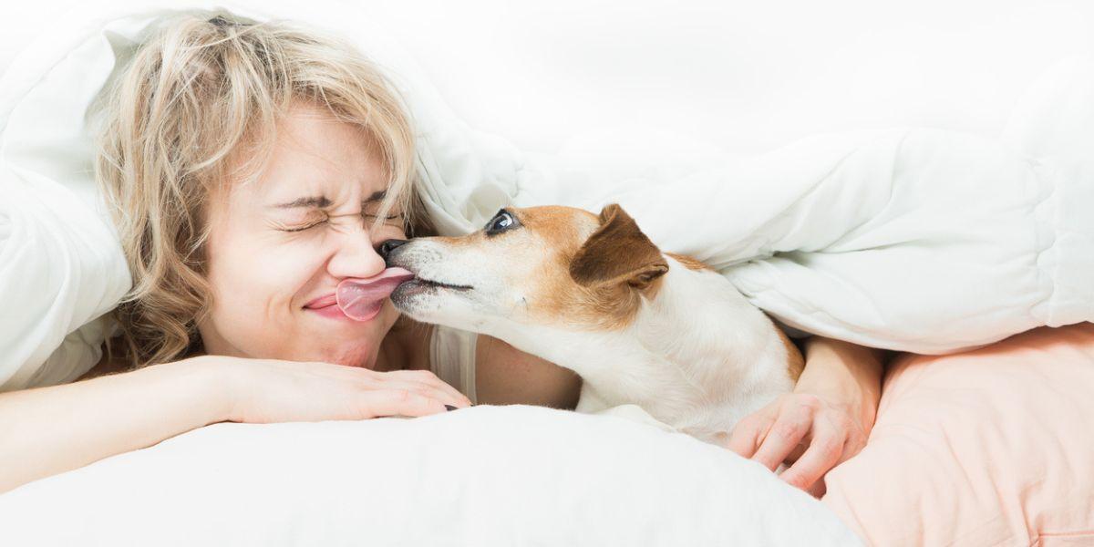 ¿Cómo demostrar el amor a mi perro? - Beagle Spain - Tu Web y Tienda de Beagle