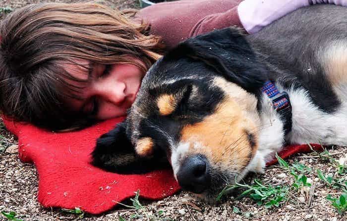 ¿Cómo saber si un perro está sonriendo? - Beagle Spain - Tu Web y ...