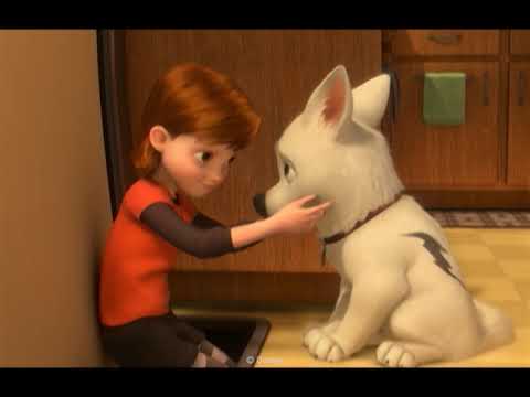 ¿Cómo se llama el perro de Flash? - Beagle Spain - Tu Web y Tienda de ...
