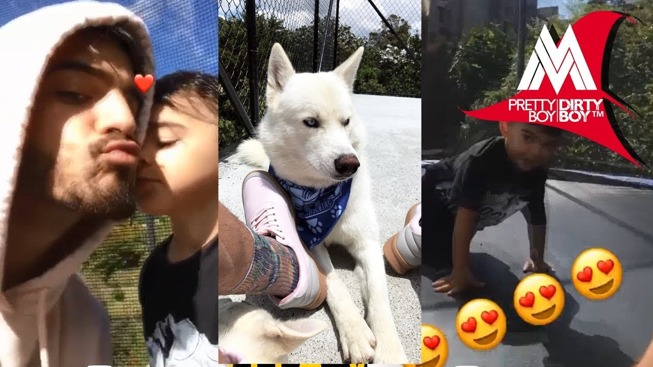 ¿Cómo se llama el perro de Maluma? - Beagle Spain - Tu Web y Tienda de ...