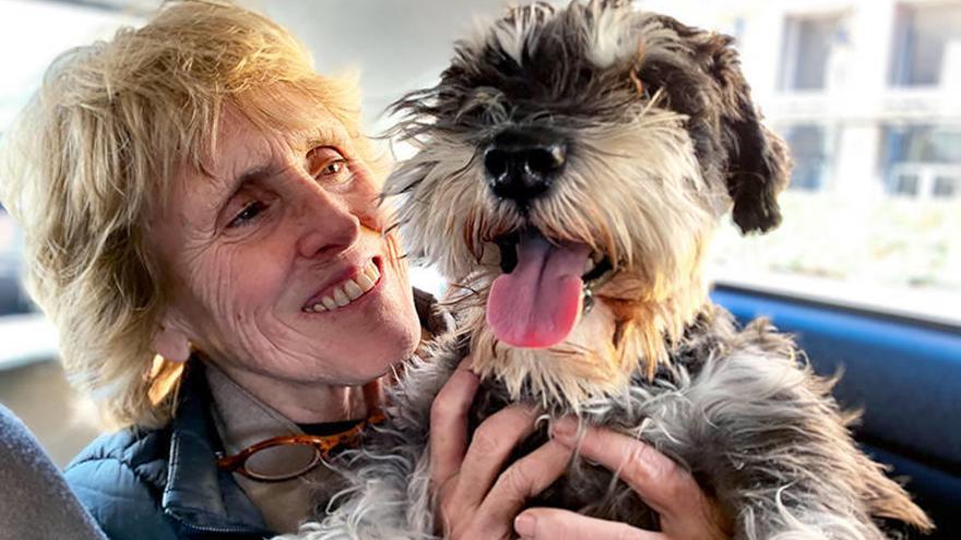 ¿Cómo se llama el perro de Scott? - Beagle Spain - Tu Web y Tienda de ...