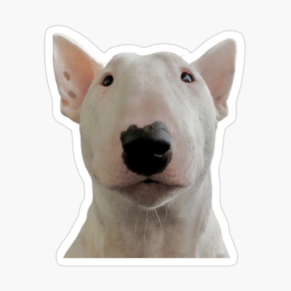 ¿Cómo se llama la raza del perro Walter? - Beagle Spain - Tu Web y ...