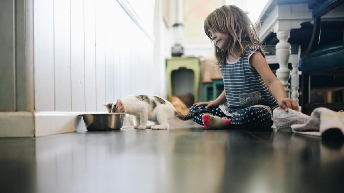 ¿Qué es un perro autismo? - Beagle Spain - Tu Web y Tienda de Beagle