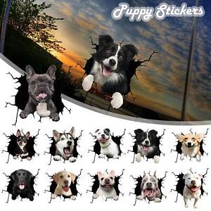 ¿Qué raza es el perro del sticker? - Beagle Spain - Tu Web y Tienda de ...